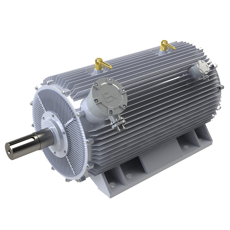 A Detailed Look at Synchronous Motor and Asynchronous Motor Differences